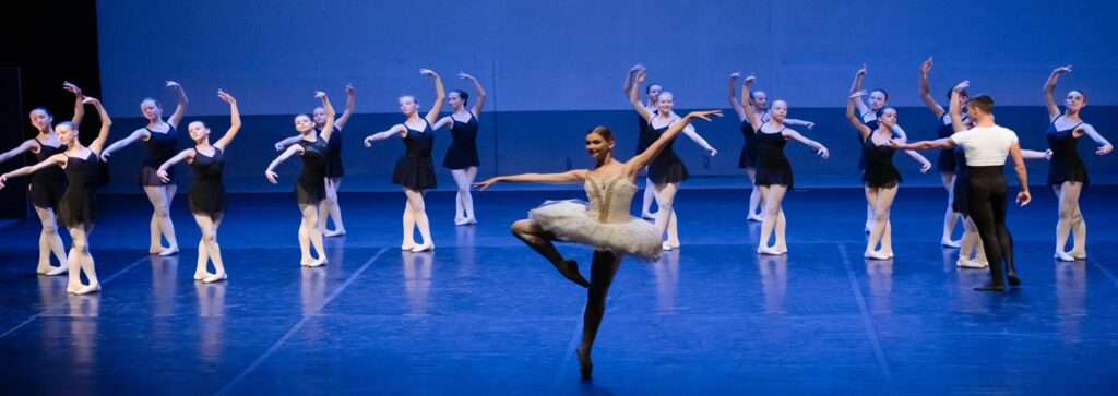 DAN Z BALETOM: Javna vaja za uprizoritev DANCS BALETNI GALA – PRVI ...